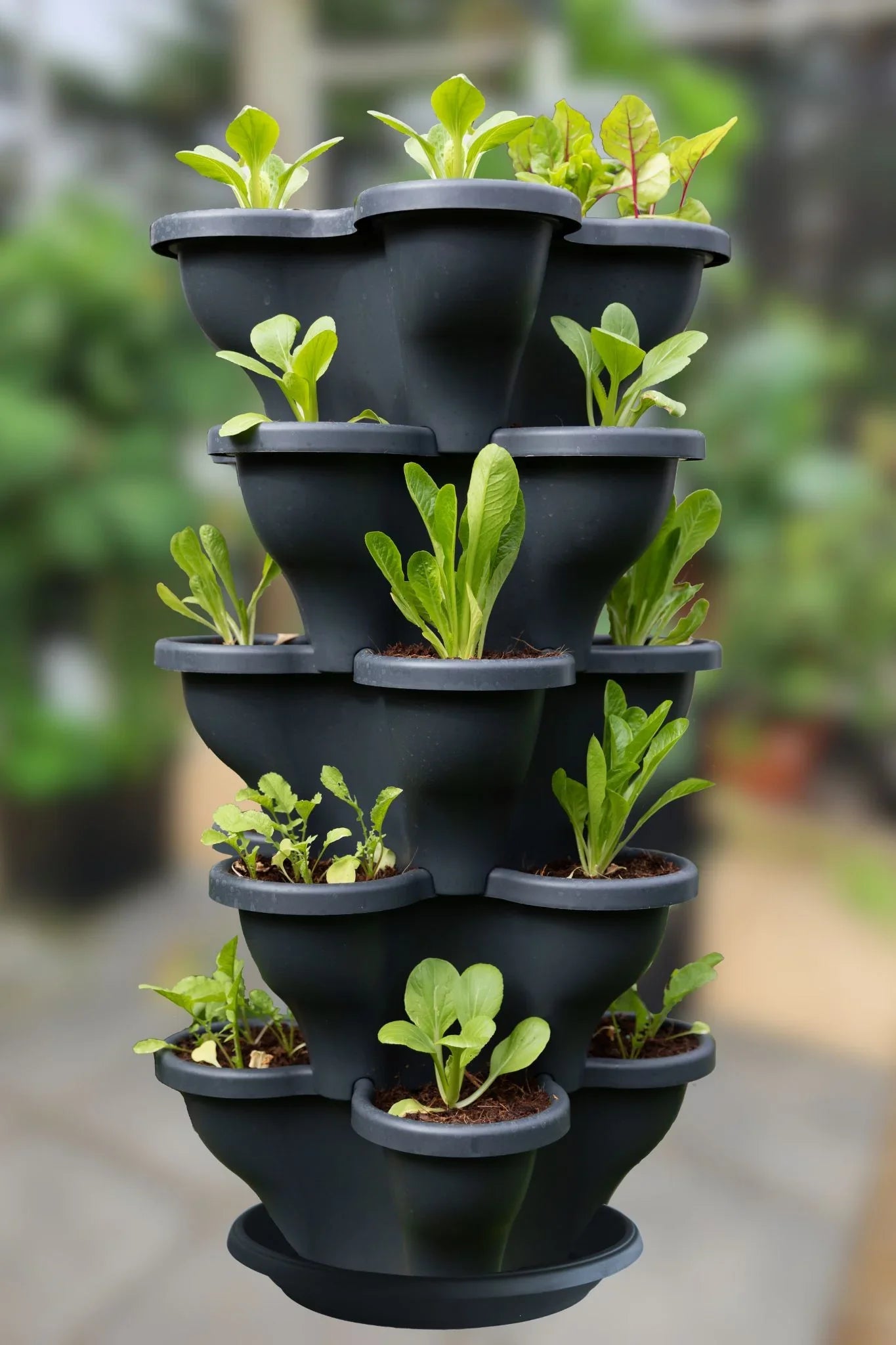 5 Tier Extra Large Vertical Planter | Verti Gro Australia